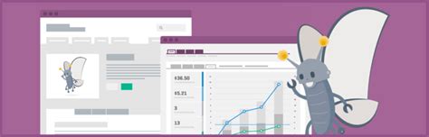 WooCommerce Review Pro S Con S Of WooCommerce Ecommerce