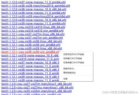 如何在anaconda中快速下载pytorch（cpu版本）pytorch Cpu版本下载 Csdn博客