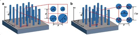 schematics of vertically aligned inp nw arrays a squarely and b