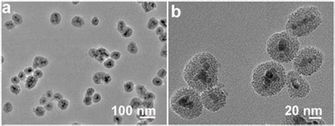 Folic Acid Coupled Targeted Ferriferrous Oxide Mesoporous Silica Copper Sulfide Nano Composite