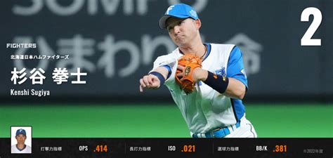 【日本ハム・杉谷拳士】最高の舞台で引退‼ スポーツねこちゃんねる