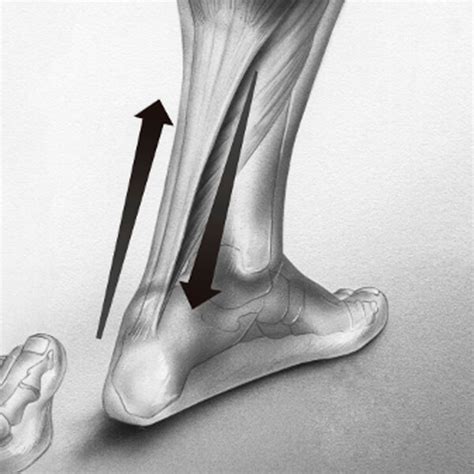 Human Gait Analysis Tekscan