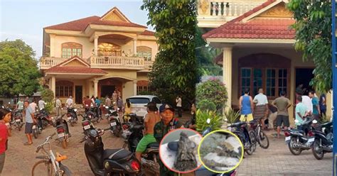 ស្លុតចិត្ត ទាំងព្រឹកនៅសៀមរាប បុរសម្នាក់ជាម្ចាស់ចិញ្ចឹមក្រពេី ត្រូវបា ត់