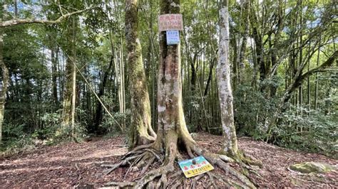 嘉南雲峰好望角石壁山O型輕鬆遊 健行筆記