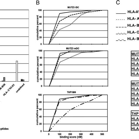 Hla I Restriction And Binding Affinities A Mhc Restriction Of Download Scientific Diagram