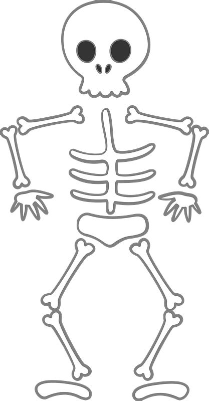 Skeleton Free Vector Clipart Images On Skeleton