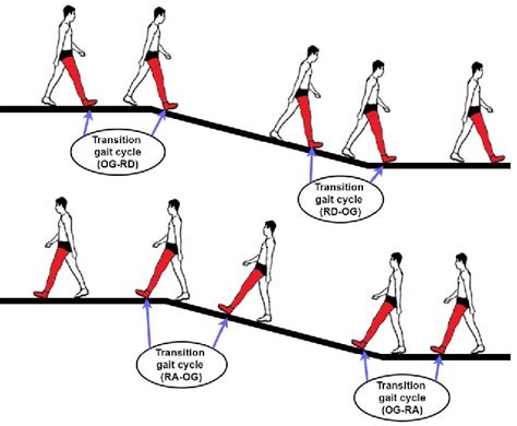Figure 1 From A Force Myography Based System For Gait Event Detection