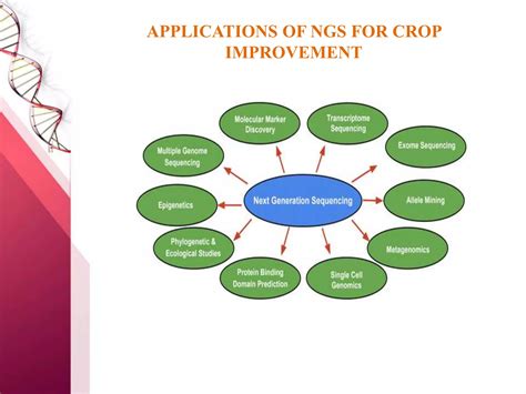 Next Generation Sequencing Technologies For Crop Improvement Pptx Biological Sciences Science