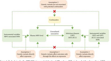 Figure 1 From The Causal Relationship Between Plasma Myeloperoxidase