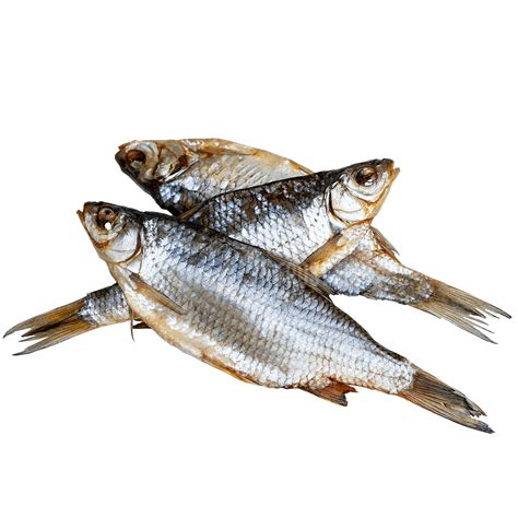 Вобла рыба 65 фото красивые фото и картинки Pofotoclub