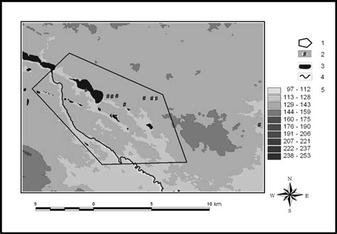 Heterogeneity Of Tree Crowns Surface In Treestand With Uprooted And Download Scientific Diagram