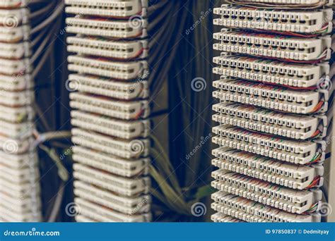 Network Panel Switch For Cable In Datacenter Stock Image Image Of Cluster Panel