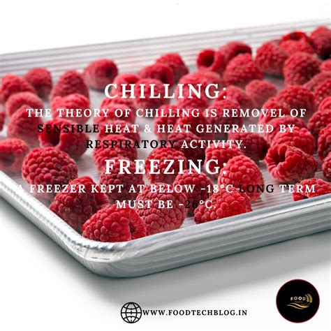 What Is The Difference Between Chilling And Freezing