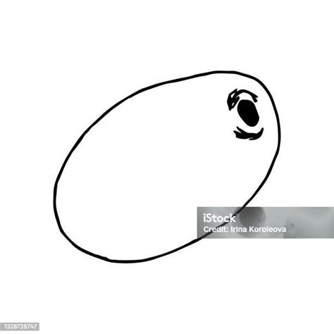 흰색 배경에 고립 된 손으로 그린 키위 간단한 벡터 그림 흰색 배경에 고립 된 슬라이스 밝은 녹색 둥근 키위 과일 성분 요리