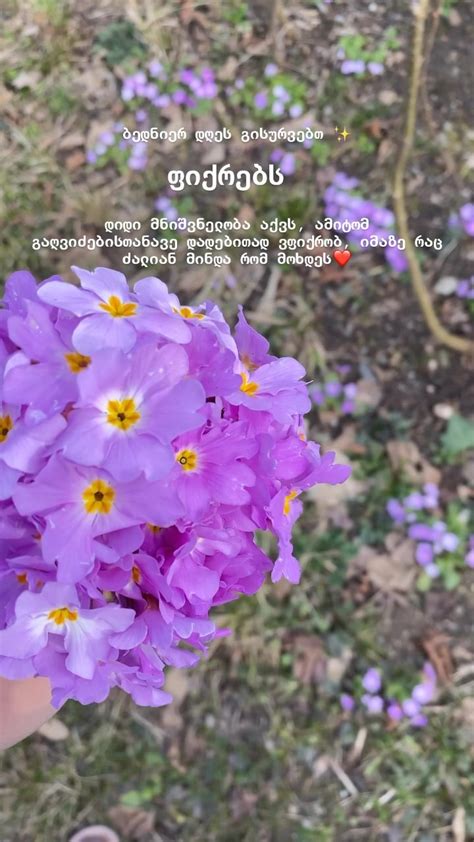 გოგიშვილი მარიამ Gogisvilimariam • Instagram Photos And Videos