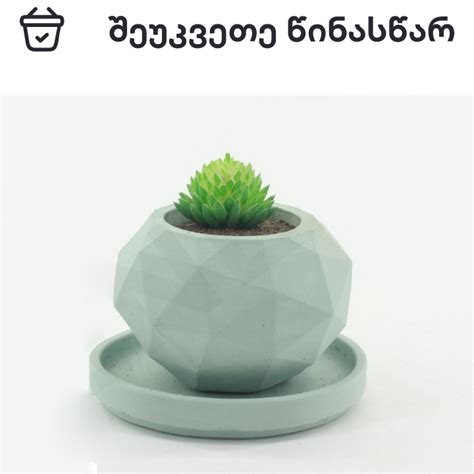 🎁 Beneero ყვავილის ქოთანი Extra Ge 549644