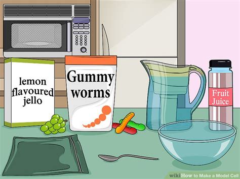 Ways To Make A Model Cell WikiHow