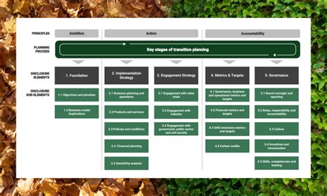 Tcfd Reporting Requirements In The Uk Climate Transition Plans