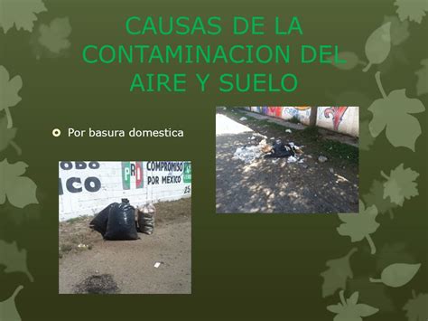 Causas Y Efectos Sobre La Contaminacion Ambiental En Mi Comunidad