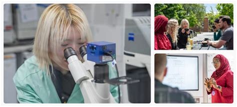 What Is The Interrelationship Between Cell Mitosis And Cell Polarity