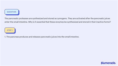 Solved The Pancreatic Proteases Are Synthesized And Stored As Zymogens They Are Activated After