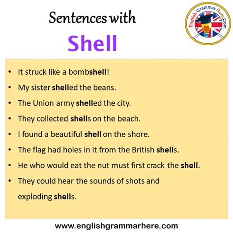 Shell Word Definition At Beth Anker Blog