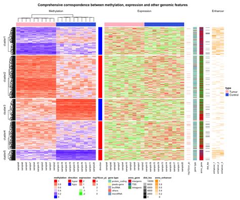 Make Circular Heatmaps A Bioinformagician