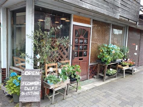 モンステラの植え替え完成♪ 関西おいしいもの食べ歩き
