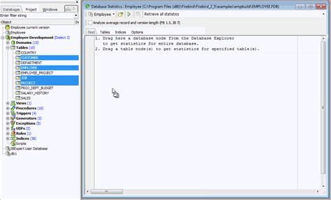 The Database Experts Docdatabase Statistics