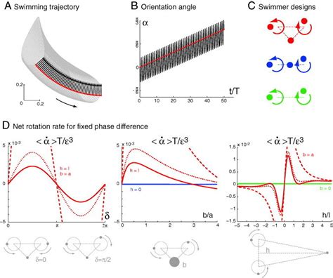 Asynchronous Beating Causes Rotation For This Figure Alone We Use A