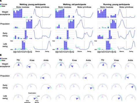 Overlayed Muscle Synergies And Coactivation Index A The Average