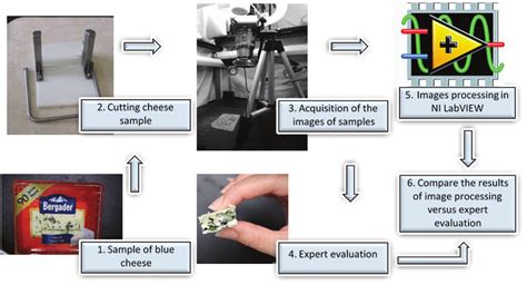 Workflow Of The Experiments Download Scientific Diagram