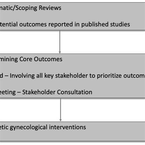 The Stages Of Developing A Core Outcome Set For Cosmetic Gynecological