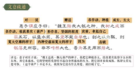 6 2五石之瓠课件共25张ppt 21世纪教育网 二一教育