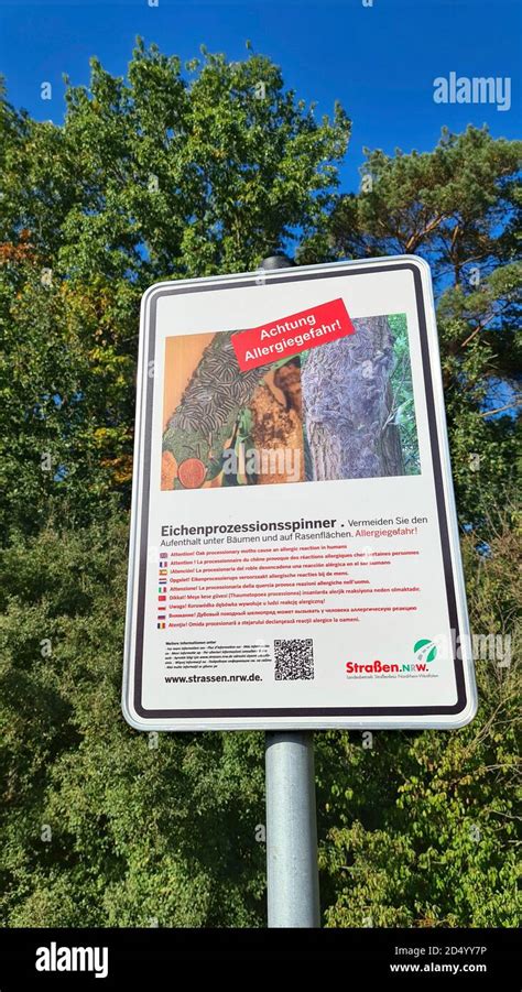 Oak Processionary Moth Thaumetopoea Processionea Warning Sign