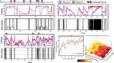 induced voltage waveforms in the two neurons for download