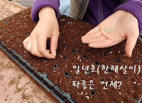 우리가 파종에 대해 몰랐던 것들6 파종시기