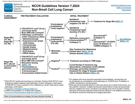 Nccn Clinical Practice Guideline In Oncology Pdf Lung And