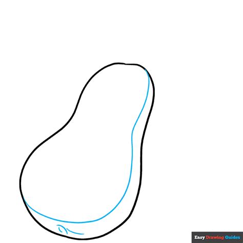 How To Draw Squash Really Easy Drawing Tutorial