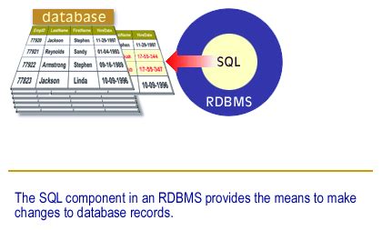 Rdbms Database