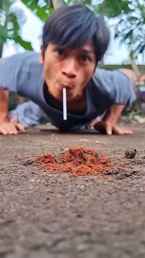 我也来学习跟你一起学 度小视