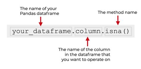 Pandas Isna Explained R Craft