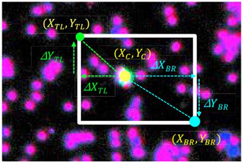 Figure 2 From A Hybrid Intelligence Approach For Circulating Tumor Cell