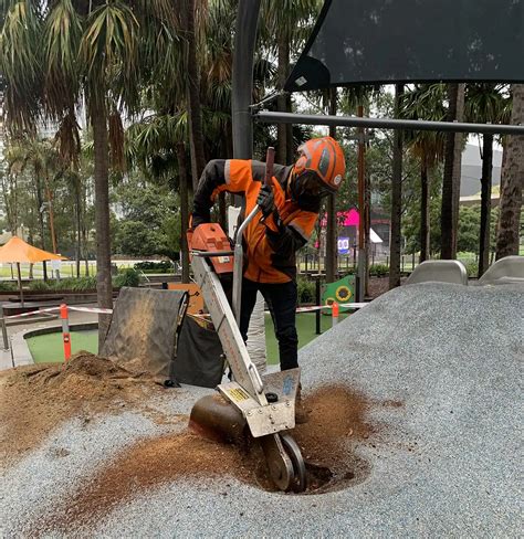 Tree Removal Arbor Grind Sydney Arborist