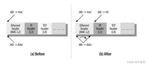 协议栈skb Buffskb Data Csdn博客 协议栈skb Buffskb Data Csdn博客