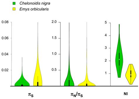 Distribution Of Population Genomic Statistics Across Predicted Coding