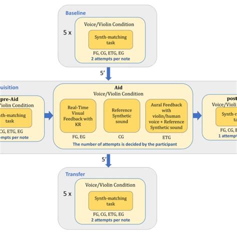Diagram With The Different Blocks Of The Experiment And The Different Download Scientific