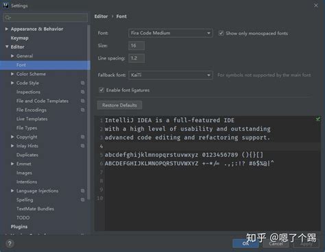 人间实验室 三款代码字体：fira code、jetbrains mono 与 cascadia code