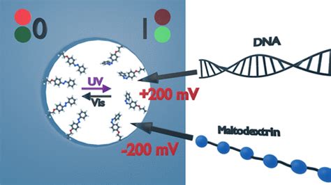 Photoswitchable Binary Nanopore Conductance And Selective Electronic