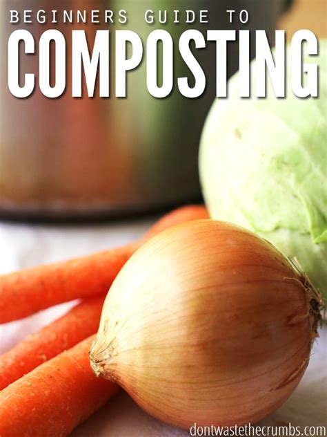 1000 Images About Composting On Pinterest Gardens Raising And Diy Compost Bin
